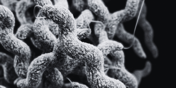 10 Scary Facts About Germs